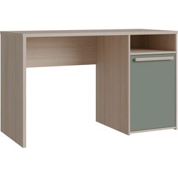 Schreibtisch FORTE "Capaia", riva eiche, salbei, eiche, eiche, B:123,6cm H:75,5cm T:52,7cm, Tische, Schreibtisch, Echtholzgriffe, verstellbarer Einlegeboden, Breite: 126 cm