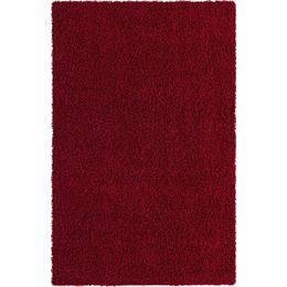 Hochflor-Teppich "Shaggy Shag, LAGERR&Auml;UMUNG", rot, B:152cm H:38mm L:244cm, Polypropylen (PP), MyFlair M&Ouml;BEL & ACCESSOIRES, Teppiche, Hochflor-Teppich, gewebt, Uni Farben, ideal im Wohnzimmer & Schlafzimmer