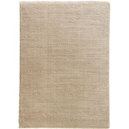 Hochflor-Teppich Astra "New Livorno", braun (hellbraun), B:160cm H:30mm L:230cm, Kunstfaser, Teppiche, Hochflor-Teppich, Kurzflor, Wohnzimmer