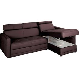 Ecksofa exxpo - SOFA FASHION "Arles, Federkern, OTTOs Choice, zeitlos, Breite 225cm, L-Form", braun (schoko), B:225cm H:94cm T:165cm, Kunstleder SOFTLUX;NaturLEDER (echtes Rindsleder) in Sitz und R&uuml;cken. Korpus in passendem Kunstleder SOFTLUX bezogen, Sofas, Ecksofa, wahlweise mit Bettfunktion und Bettkasten, inkl. Kopfteilverstellung
