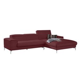 Ecksofa W.Schillig "piedroo, Designsofa mit tollem Sitzkomfort, bequem und elegant, L-Form", rot (burgundy z69), B:303cm H:70cm T:193cm, Longlife Xtra-Leder Z69: Das feinnarbige, gedeckte Softleder Z69 besticht durch seine au&szlig;ergew&ouml;hnliche Weichheit im trendigen &raquo;Vintage-Look&laquo;, Hautst&auml;rke 0, 9 - 1, 1 mm, Sofas, Ecksofa, Kopfteilverstellung, wahlweise mit Sitztiefenverstellung, Breite 303cm