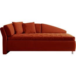 Schlafsofa Alina, braun (kupferbraun tsv 22), B:223cm H:80cm T:102cm, Samtstoff TSV (100% Polyester), Sofas, Schlafsofa, Bettkasten, Zierkissen-Set aus: 2 Stk. 40x40cm, 1 Stk. 30x30cm