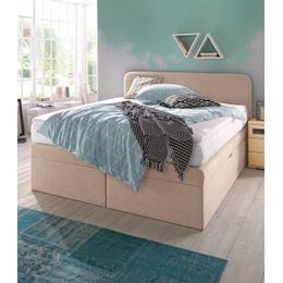 Boxspringbett, beige (dunkelbeige), B:105cm L:212cm, Box und Kopfteil: Microvelours (100% Polyester) oder Kunstleder (Polyurethan);Bezug der Obermatratze: 100% Polyester, Westfalia Schlafkomfort, Komplettbetten, Boxspringbett, wahlweise mit Bettkasten