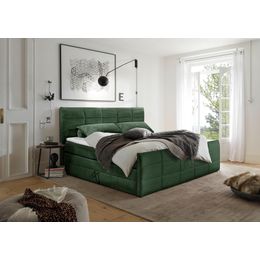 Boxspringbett ED EXCITING DESIGN "Bolivia", gr&uuml;n (oliv), B:183cm L:220cm, 92% Polyester, 8% Nylon, Komplettbetten, Boxspringbett, harte Seite mit Kokosmatte, weiche Seite mit Filzabdeckung