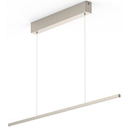 Evotec LED Pendelleuchte "eXiro", Energieeffizienz: F, silber (edelstahlfarben), H: 1cm, 1 Stk., Leuchten, dezent, Made in Germany, LED Pendelleuchte