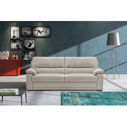 2,5-Sitzer Egoitaliano "Doris, modernes Designersofa, Ledersofa mit erstklassiger Sitzqualit&auml;t", grau (perlgrau), B:192cm H:90cm T:93cm, Leder &raquo;BULL&laquo; (echtes Rindsleder). Geschliffenes, pigmentiertes und behandeltes Rindsleder mit einer Dicke von 1, 3-1, 5 mm. Dieses Leder zeigt eine ziemlich weiche Hand mit einem halb undurchsichtigen Aussehen. Es handelt sich um ein gesch&uuml;tztes Leder. Eine leich