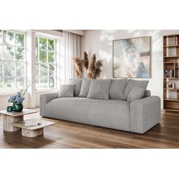 Big-Sofa Home Affaire "LAKESIDE klein 3-Sitzer Schlafsofa mit Bettkasten, Breite 238 cm", hellgrau, B:238cm H:85cm T:98cm, 83% Polyester, 17% Nylon, Sofas, Big-Sofa, Liegefl&auml;che 149x195 cm, hoher Sitzkomfort, Ma&szlig;e B/T/H: 238/98/85cm