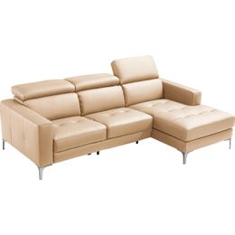 Ecksofa Egoitaliano "Matt, erstklassiger Sitzkomfort, aufwendige Detailverarbeitung, L-Form", beige (champagner), B:247cm H:100cm, Leder &raquo;BULL&laquo; (echtes Rindsleder). Geschliffenes, pigmentiertes und behandeltes Rindsleder mit einer Dicke von 1, 3-1, 5 mm. Dieses Leder zeigt eine ziemlich weiche Hand mit einem halb undurchsichtigen Aussehen. Es handelt sich um ein gesch&uuml;tztes Leder. Eine leichte Dec