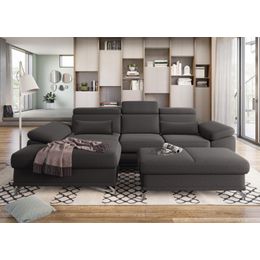 Sit & More Ecksofa SIT & MORE "Cabrio L-Form, B: 295 cm, mit Sitztiefen-, Arm- & Kopfteilverstellung", grau (fango), B:295cm H:87cm T:180cm, 100% Polyester, Sofas, Ecksofa, 2 Nierenkissen, Federkern, optional Bettfunktion und Stauraum