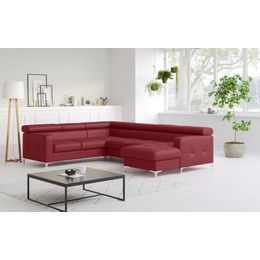 Wohnlandschaft COTTA "Sammy U-Form", rot, B:304cm H:74cm T:240cm, NaturLEDER, die R&uuml;ckseite ist mit schwarzem und die Liegefl&auml;che der Bettfunktion ist mit beigem Spannstoff bezogen, Sofas, Wohnlandschaft, mit Kopfteilverstellung, wahlweise mit Bettfunktion & Bettkasten