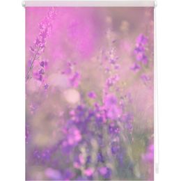 Seitenzugrollo LICHTBLICK ORIGINAL "Klemmfix Motiv Blumenwiese" Gr. 5, lila (violett, wei&szlig;), B:90cm H:150cm, Polyester, Rollos, Seitenzugrollo, bedruckt