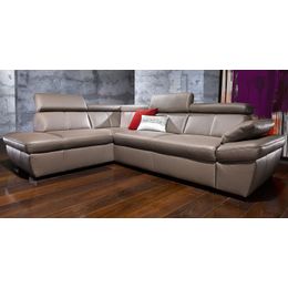 Ecksofa exxpo - SOFA FASHION "Salerno, Funktionssofa, hoher Sitzkomfort, Breite 268cm, L-Form", grau (delfin), B:268cm H:77cm T:204cm, NaturLeder;Primabelle-Microfaser (100% Polyester);Luxus-Kunstleder, Sofas, Ecksofa, inkl. Kopf- und Armteilverstellung, wahlweise mit Bettfunktion