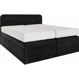 Boxspringbett, schwarz, B:195cm L:212cm, Box und Kopfteil: Microvelours (100% Polyester) oder Kunstleder (Polyurethan);Bezug der Obermatratze: 100% Polyester, Westfalia Schlafkomfort, Komplettbetten, Boxspringbett, wahlweise mit Bettkasten