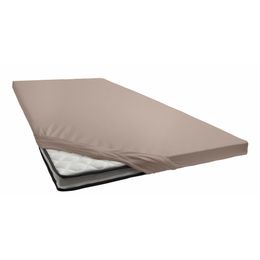 Spannbettlaken Primera "Elasthan-Feinjersey Topper", grau (taupe), 1 Stk., Jersey-Elasthan, 180x200 180x210 180x220 190x200 190x210 190x220 200x200 200x210 10cm, Jersey-Elasthan, Obermaterial: 95% Baumwolle, 5% Elasthan, Bettlaken, Spannbettlaken, Aus 95% gek&auml;mmter Baumwolle und 5% Elastan
