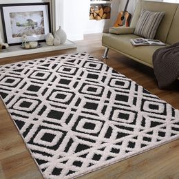 Hochflor-Teppich Sanat "Luxus 3506", beige (hellbeige, schwarz), B:160cm H:30mm L:220cm, Kunstfaser, Teppiche, Hochflor-Teppich, robuster Langflor, weich, Wohnzimmer, Schlafzimmer