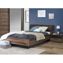Bett FORTE "Jacky", braun (schlammeichefarben, schwarzeichefarben), B:146,3cm H:87,7cm L:209,3cm, Betten, Bett, mit gepolstertem Kopfteil