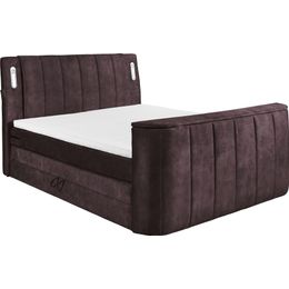 Boxspringbett ED EXCITING DESIGN "Dallas", lila (aubergine, salvador 05 aubergine), B:186cm L:244cm, 100% Polyester, Komplettbetten, Boxspringbett, inkl. Topper, LED-Beleuchtung, TV Halterung und zwei Bettk&auml;sten