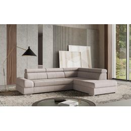 Sit & More Ecksofa SIT & MORE "Broadway L-Form", grau (elefant), B:270cm H:79cm T:213cm, 100% Polyester, Sofas, Ecksofa, mit verstellbaren Kopfteilen, wahlweise mit Bettfunktion