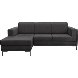 Ecksofa "LOOKS VII L-Form", grau (anthrazit), B:214cm H:82cm T:146cm, 100% Polyester, LOOKS by Wolfgang Joop, Sofas, Ecksofa, klare Linien, edles Design
