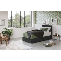 Boxbett COTTA "Tom mit Bettkasten, Topper und Zierkissen", schwarz, B:95cm L:209cm, Komplettbetten, Boxbett, Bestseller, Unser Dauertiefpreis
