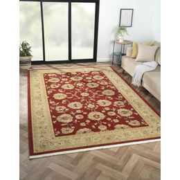 Teppich "Maryam 3", rot (weinrot, creme), B:200cm H:7,5mm L:290cm, Polypropylen (PP), MyFlair M&Ouml;BEL & ACCESSOIRES, Teppiche, Teppich, Kurzflor, Orient Optik, edler Glanz, besonders weich durch Microfaser