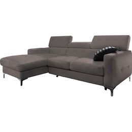 Ecksofa COTTA "Sammy L-Form", grau, B:226cm H:92cm T:105cm, Microfaser PRIMABELLE (100% Polyester);NaturLEDER in Sitz und R&uuml;cken/Kunstleder im Korpus;NaturLEDER (echtes Rindsleder), R&uuml;ckseite mit Spannstoff bezogen, Sofas, Ecksofa, mit Kopfteilverstellung, wahlweise mit Bettfunktion