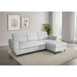 Ecksofa TRENDS BY HG "Bella L-Form, B: 248 cm", b636 loft 18 silber, B:248cm H:87cm T:153cm, 100% Polyester, Sofas, Ecksofa, mit Bettfunktion & Bettkasten