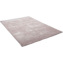 Hochflor-Teppich Gino Falcone "Alessandro" Gr. 31, beige (hellbeige), B:65cm H:25mm L:135cm, Kunstfaser, Teppiche, Hochflor-Teppich, besonders weich durch Microfaser, ideal im Wohnzimmer & Schlafzimmer