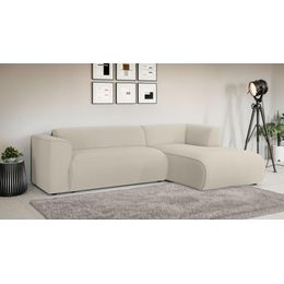 Ecksofa Home Affaire "GENTON L-Form (257 cm), zeitlos & stilvolles Design", beige (creme), B:257cm H:78cm T:161cm, 100% Polyester, Sofas, Ecksofa, Aufwendig gepolstert, in Cord, Chenille und Struktur
