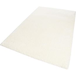 Hochflor-Teppich Wecon Home "Toubkal" Gr. 6, beige (naturfarben), B:200cm H:50mm L:290cm, Kunstfaser, Teppiche, Hochflor-Teppich, Wohnzimmer