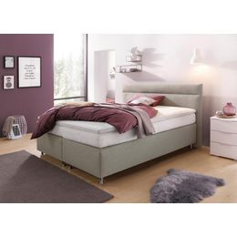 Boxspringbett, beige (struktustoff dunkelbeige), ohne LED-Beleuchtung, Liegefl&auml;che B/L: 160cm x 200cm, H2, 7-Zonen-Kaltschaummatratze, Bezug Unterbox und Kopfteil: Strukturstoff (77% Polyester und 23% Viskose);Bezug Obermatratze 100% Polyester, waschbar bis 60C, Westfalia Schlafkomfort, Komplettbetten, Boxspringbett, wahlweise mit LED-Beleuchtung