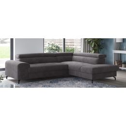 Ecksofa COTTA "Aura L-Form, B: 260 cm", grau (anthrazit), B:260cm T:210cm, Sofas, Ecksofa, mit Bettfunktion, Bettkasten & Kopfteilverstellung