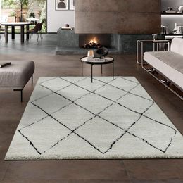 Teppich the carpet "Bahar Shaggy", beige (creme, schwarz), B:160cm H:30mm L:230cm, Polypropylen, Teppiche, Teppich, Topseller