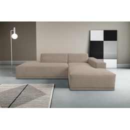 Ecksofa WERK2 "Apollo, hoher Sitzkomfort, aktuelles Design, Breite 264cm, L-Form", greige, B:264cm H:70cm T:188cm, 90% Polyester, 10% Nylon, Sofas, Ecksofa, Puristisches Design mit maximalem Komfort