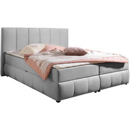 Boxbett OTTO HOME "Hartley inkl. Bettkasten und Topper, auch in &Uuml;berl&auml;nge erh&auml;ltlich", grau, B:212cm L:210cm, Komplettbetten, Boxbett, wahlweise mit Bonnell- oder TTFK-Matratze in H2, H3 o. H4 erh&auml;ltlich