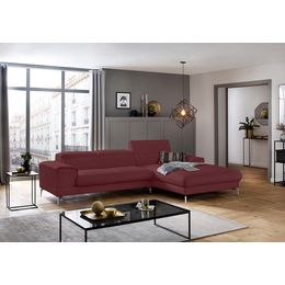 Ecksofa W.Schillig "piedroo, Designsofa mit tollem Sitzkomfort, bequem und elegant, L-Form", rot (burgundy z69), B:303cm H:70cm T:193cm, Longlife Xtra-Leder Z69: Das feinnarbige, gedeckte Softleder Z69 besticht durch seine au&szlig;ergew&ouml;hnliche Weichheit im trendigen &raquo;Vintage-Look&laquo;, Hautst&auml;rke 0, 9 - 1, 1 mm, Sofas, Ecksofa, Kopfteilverstellung, wahlweise mit Sitztiefenverstellung, Breite 303cm