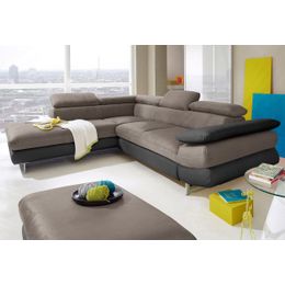 Ecksofa COTTA "Solution L-Form", schwarz (schwarz, schlamm), B:262cm H:73cm T:228cm, Sofas, Ecksofa, mit Arm- & Kopfteilverstellung, wahlweise mit Bettfunktion