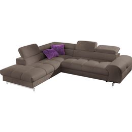 Ecksofa COTTA "Chef L-Form", braun, B:257cm H:72cm T:206cm, Luxus-Microfaser (100% Polyester);Kunstleder Softlux;Leder Advantage (abgedecktes Spalt-Rindsleder), R&uuml;ckseite mit schwarzem Spannstoff bezogen;NaturLEDER (echtes Rindsleder), R&uuml;ckseite mit schwarzem Spannstoff bezogen, Sofas, Ecksofa, mit Kopfteilverstellung, edle Metallkufen, wahlweise mit Bettfunktion
