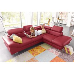 Ecksofa COTTA "Driver L-Form", rot, B:268cm H:73cm T:214cm, Kunstleder SOFTLUX;LEDER BEEFY (ein abgedecktes Spalt-Rindsleder) im Sitz und R&uuml;cken (Korpus in Kunstleder);Luxus-Kunstleder;Leder Pampas (echtes Rindsleder) im Sitz und R&uuml;cken (R&uuml;ckseite mit Spannstoff bezogen), Sofas, Ecksofa, mit Kopfteilverstellung, wahlweise mit Bettfunktion & Bettkasten