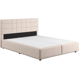 Boxbett COTTA "Nala", beige, B:186cm L:206cm, 100% Polyester, Komplettbetten, Boxbett, wahlweise mit Matratze und Topper erh&auml;ltlich