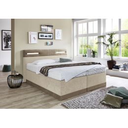 Boxspringbett, beige (dunkelbeige, beige), Kaltschaum-Topper, Liegefl&auml;che B/L: 160cm x 200cm, H3, 7-Zonen-Kaltschaummatratze, Bezug Obermatratze 100% Polyester, waschbar bis 60C;Bezug Unterbox und Kopfteil: Mikrofaservelours (100% Polyester), Westfalia Schlafkomfort, Komplettbetten, Boxspringbett, mit LED-Beleuchtung
