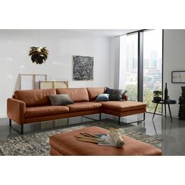 Ecksofa 3C CANDY "Aidan modernes Sofa in aktueller Formensprache, bequem, L-Form", braun (brandy), B:318cm H:81cm T:154cm, 100% Leder, Sofas, Ecksofa, eleganter Stil mit hohem Sitzkomfort, auch mit Lederbezug