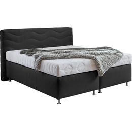 Boxspringbett "Sigma", schwarz, B:195cm L:210cm, Bezug Bett: Microvelours (100% Polyester) oder Feinstruktur (100% Polyester);Bezug Bonnell-Federkernmatratze: 100% Polyester;Bezug Kaltschaummatratze: 100% Polyester;Bezug Tonnentaschenfederkernmatratze: 80% Baumwolle, 20%Polyester, Westfalia Schlafkomfort, Komplettbetten, Boxspringbett