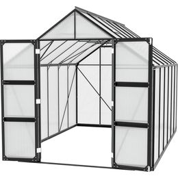 Gew&auml;chshaus Vitavia "Domus 9900", schwarz, B:257cm H:253,9cm T:387cm, Gew&auml;chsh&auml;user, Gew&auml;chshaus, mit Doppelschwingt&uuml;ren und bodentiefer T&uuml;rschwelle, 4 mm Hohlkammer