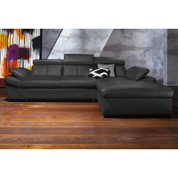 Ecksofa exxpo - SOFA FASHION "Salerno, Funktionssofa, Breite 280cm, hoher Sitzkomfort, L-Form", schwarz, B:280cm H:77cm T:170cm, Microfaser-Primabelle (100% Polyester);NaturLEDER;Kunstleder;Lederfaserstoff;Luxus-Microfaser Lederoptik, Sofas, Ecksofa, inkl. Kopf- und Armteilverstellung, wahlweise mit Bettfunktion