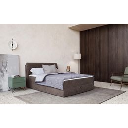Boxbett COTTA "Cooper", braun (mud), B:145cm L:213cm, 100% POLYESTER (PES), Komplettbetten, Boxbett, inkl. Topper, Bettkasten und verstellbarem Kopfteil