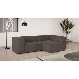 Ecksofa OTTO HOME "HAILY L-Form links/rechts, Modularsofa, Sitztiefe 70/130 cm", braun, B:260cm H:72cm T:160cm, 100% Polyester, Sofas, Ecksofa, als Modul oder separat verwendbar, f&uuml;r individuelle Zusammenstellung