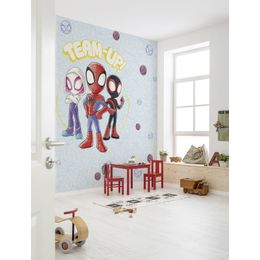 Fototapete Komar "Marvel Spidey and his Amazing Friends Team Up", blau,rot, B:3m H:250m, Vlies, Tapeten, Fototapete