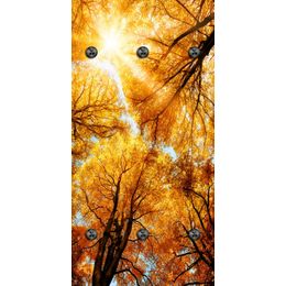 Wandgarderobe queence "Herbst Sonnenaufgang im Wald", goldfarben, B:50cm H:100cm T:2cm, Acrylglas, Garderobenpaneele, Wandgarderobe, Wandpaneel aus Acrylglas inkl. 6 Edelstahlhaken in schwarz matt