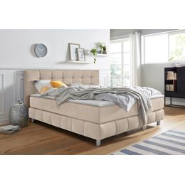 Boxspringbett Home Affaire "Salo XXL", beige, B:194cm L:231cm, Komplettbetten, Boxspringbett, in Samtoptik oder Struktur, 6 Breiten in &Uuml;berl&auml;nge 220cm, 4 H&auml;rtegrade